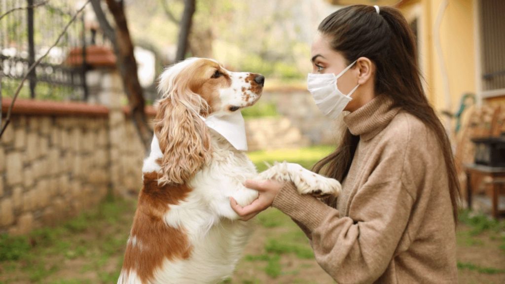 ¿El rescate animal es tarea de todos? | Solución 24/7