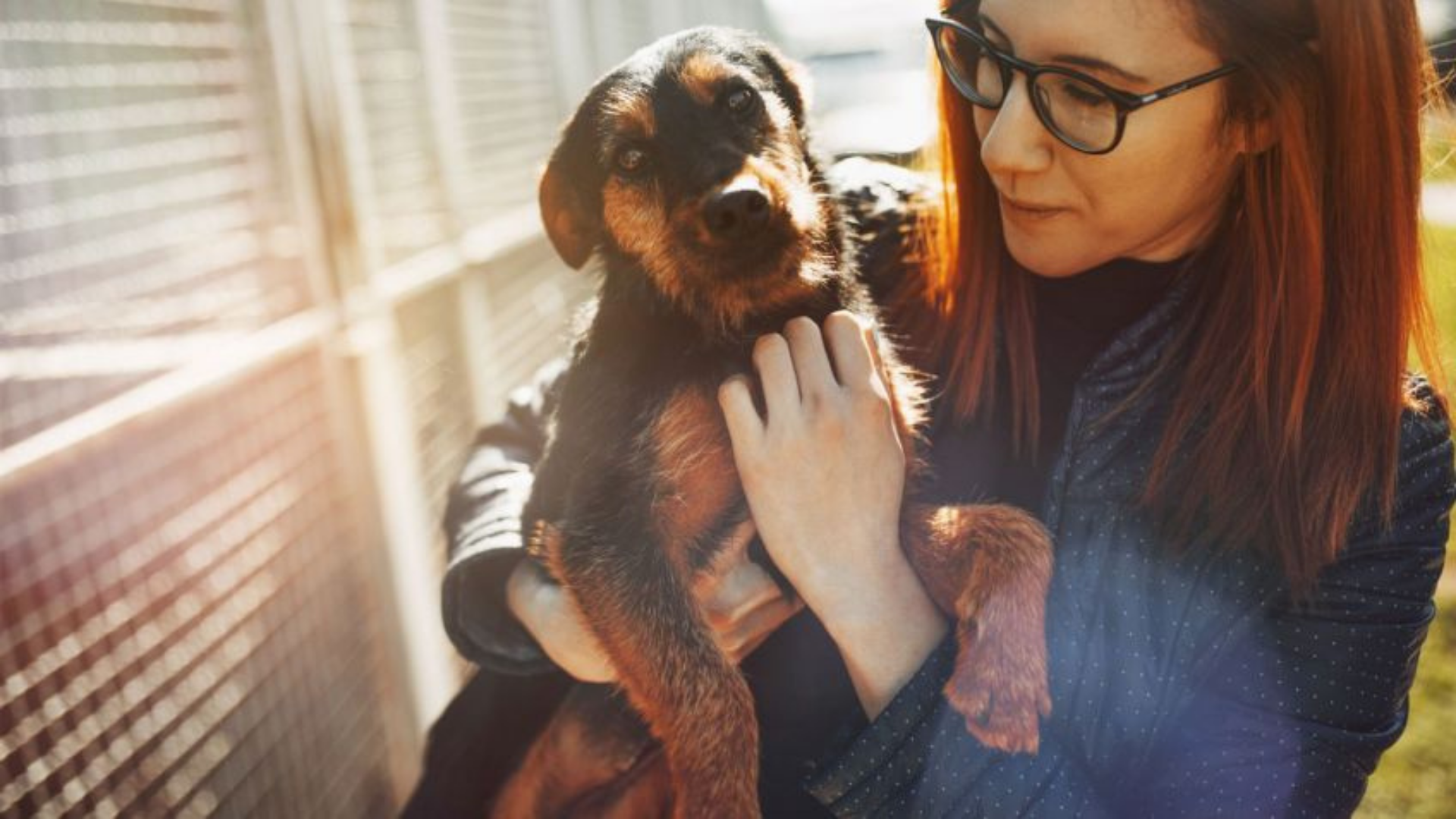 ¿El rescate animal es tarea de todos? | Solución 24/7